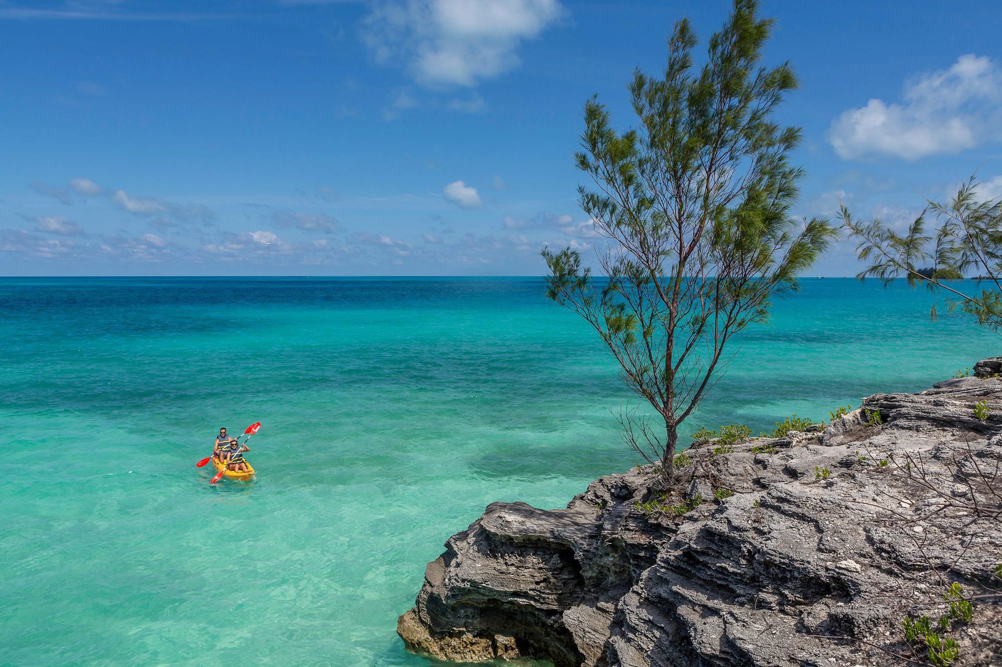 2026 January Monthly Mix