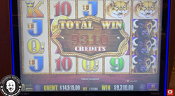 Comped Travels Top 5 Video Slot Jackpots Of The Week - October 22, 2023 ...