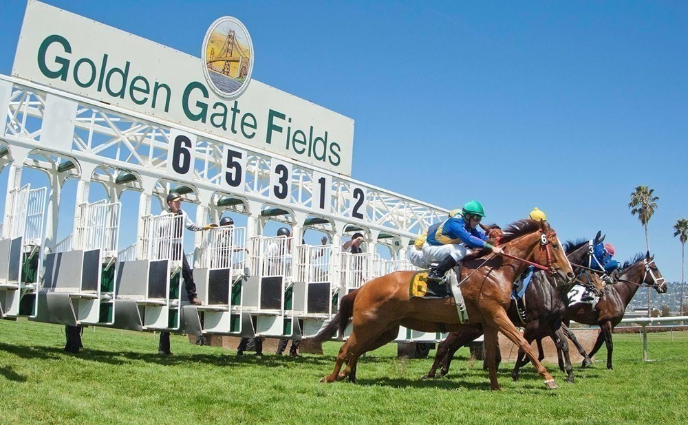 Posts About Golden Gate Fields