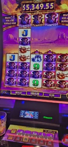 Buffalo Stampede Slot Machine by Aristocrat