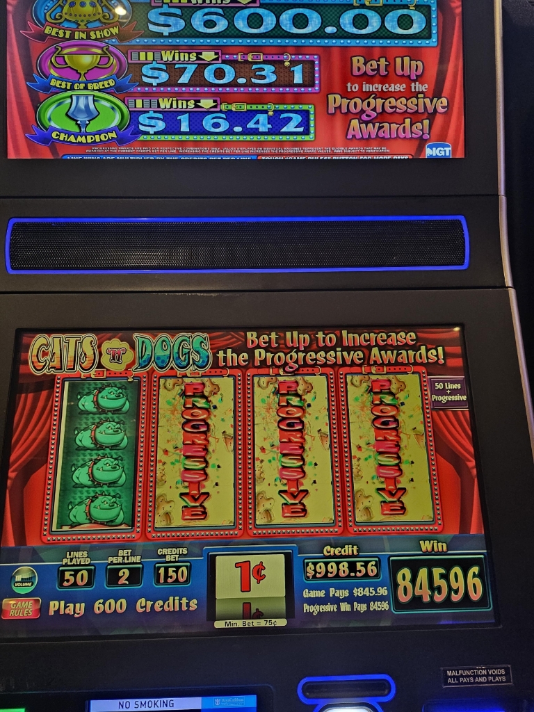 Slot Machines Onboard Voyager of the Seas Casino