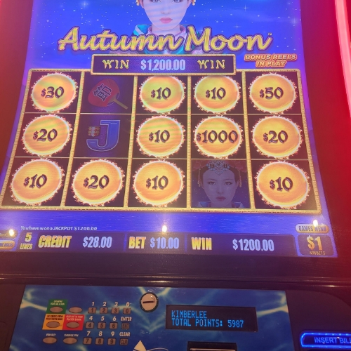 Autumn Moon Slot Machine by