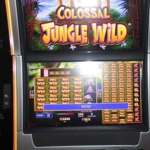 Colossal Jungle Wild Slot Machine by WMS