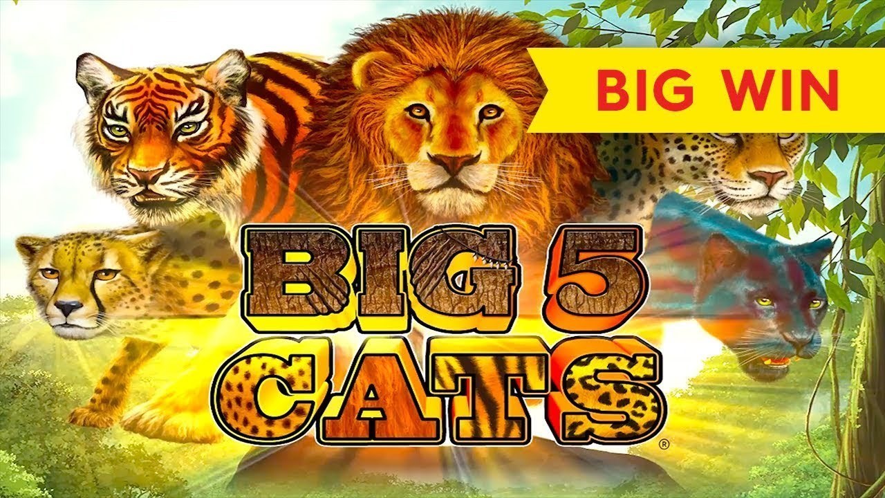 Big 5 Cats Slot Machine by IGT